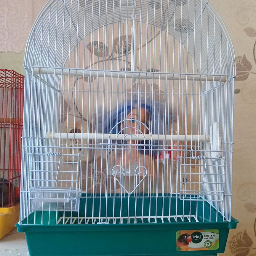 Клетка для попугая