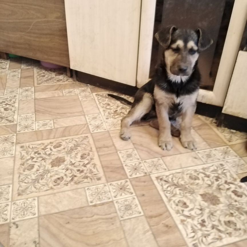 Очень уже дом и надёжные ручки