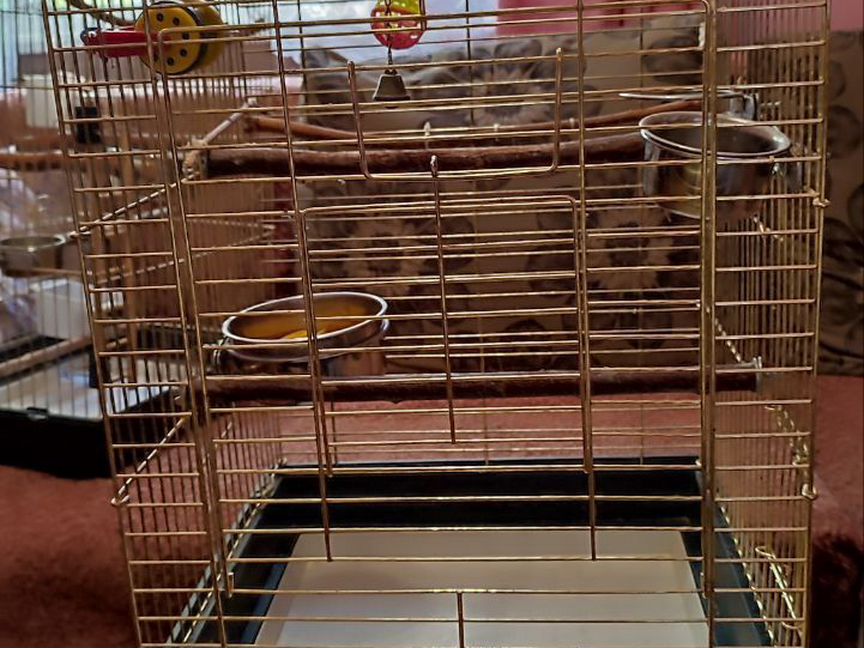 Продам большую клетку для попугая