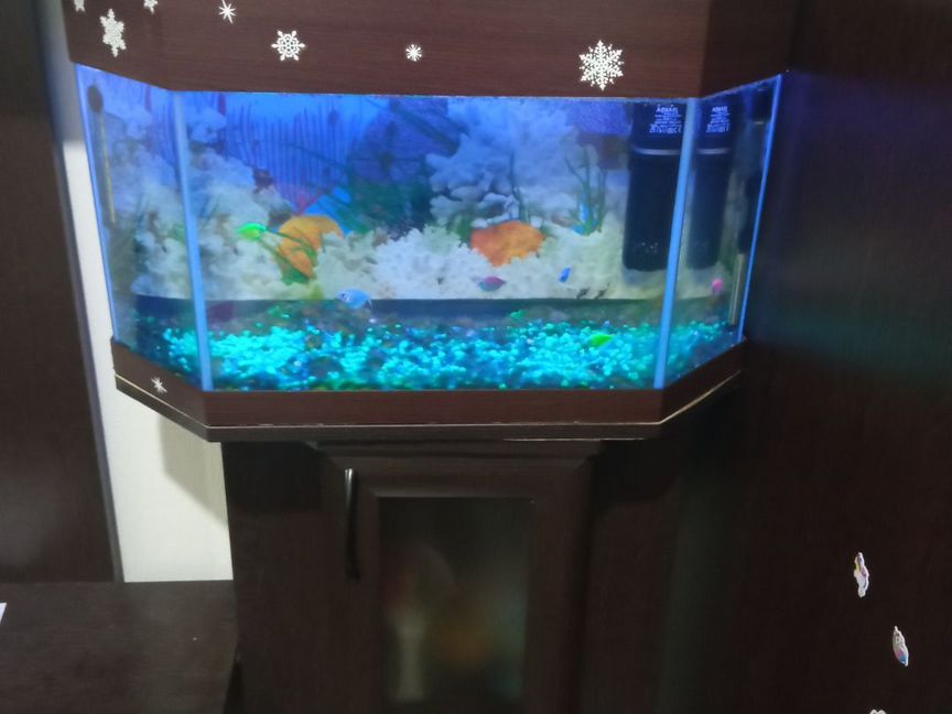 Аквариум 60 л, тумба, рыбки