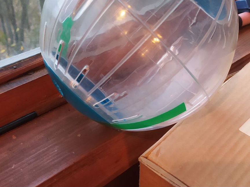 Шар для грызунов