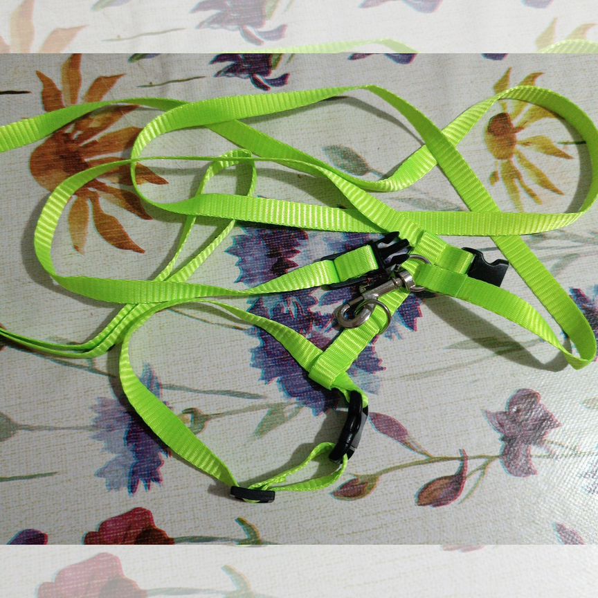 Шлейка для кошки