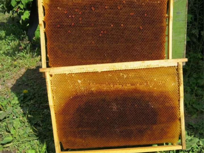 Рамки с сушью