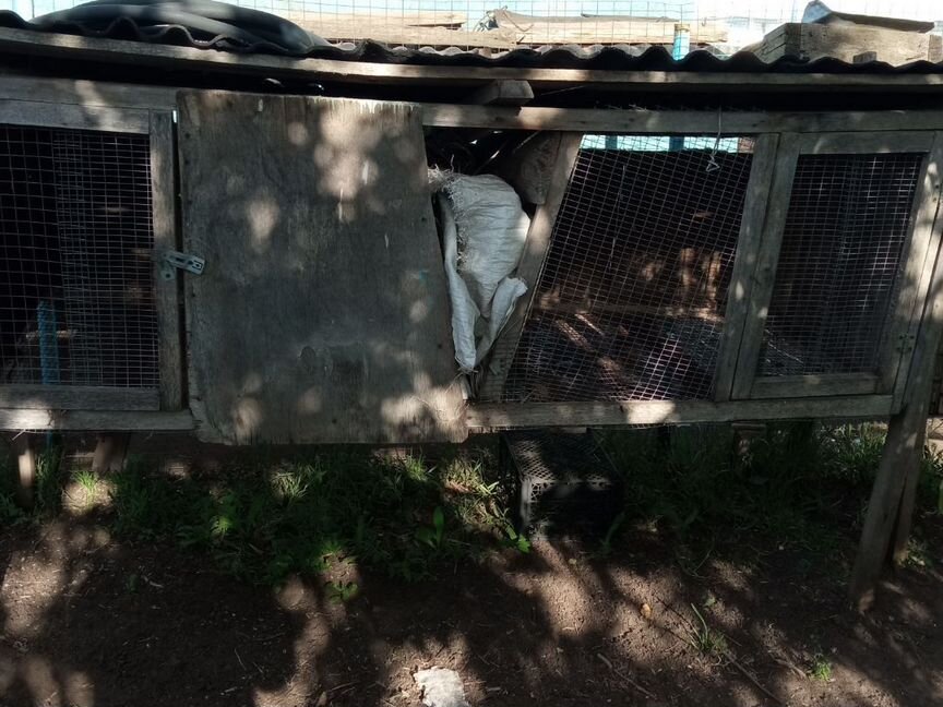 Клетка для кролика