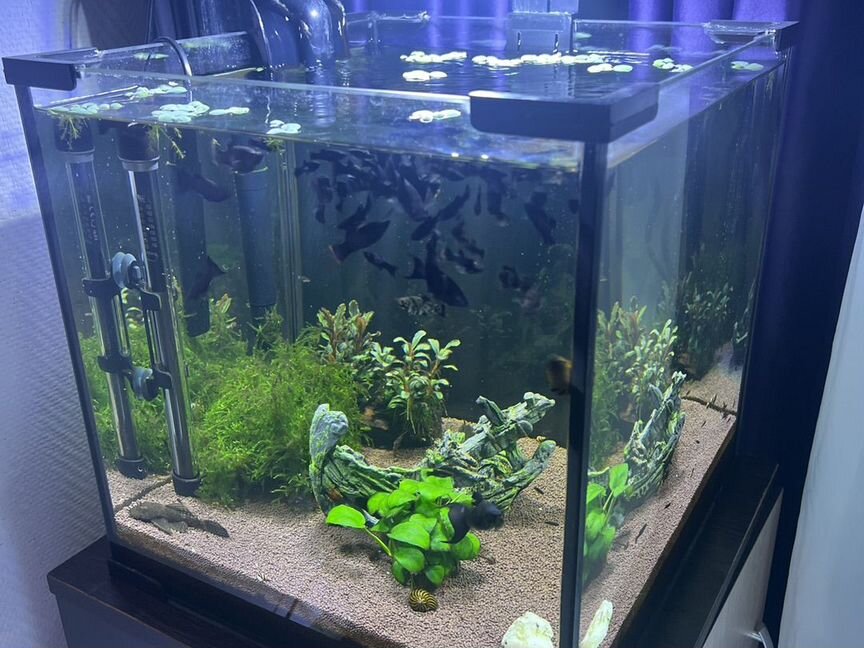 Бронь до 20.01.24