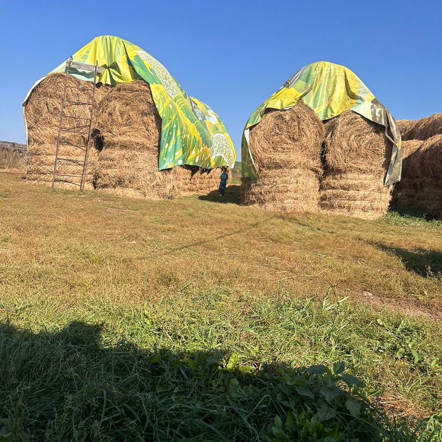 Сено в рулонах