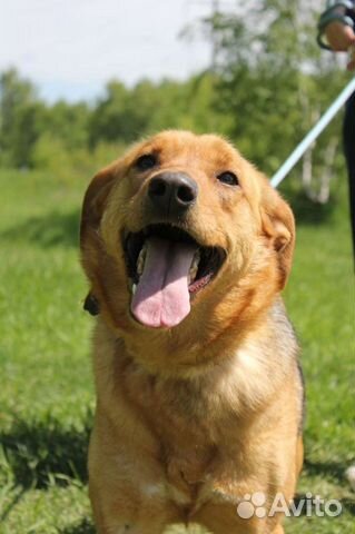 Баффи похитительница людских сердец