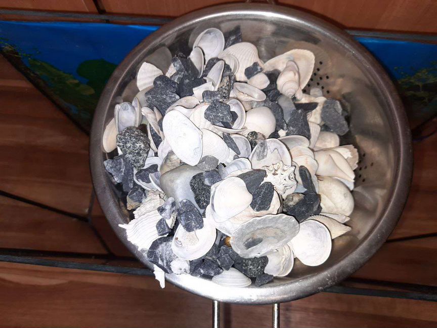 Аквариум с ракушками
