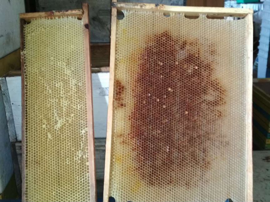 Суш рамка дадан и полурамка