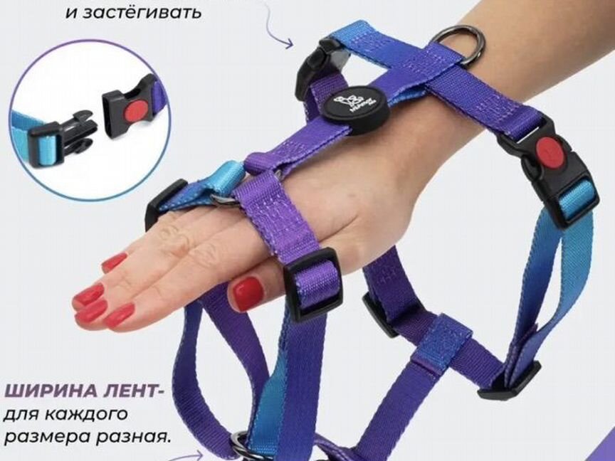 Шлейка для маленькой собаки