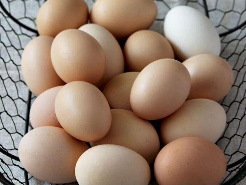 Яйца для инкубации от домашних несушек