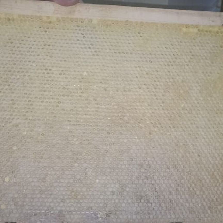 Рамки с сушью