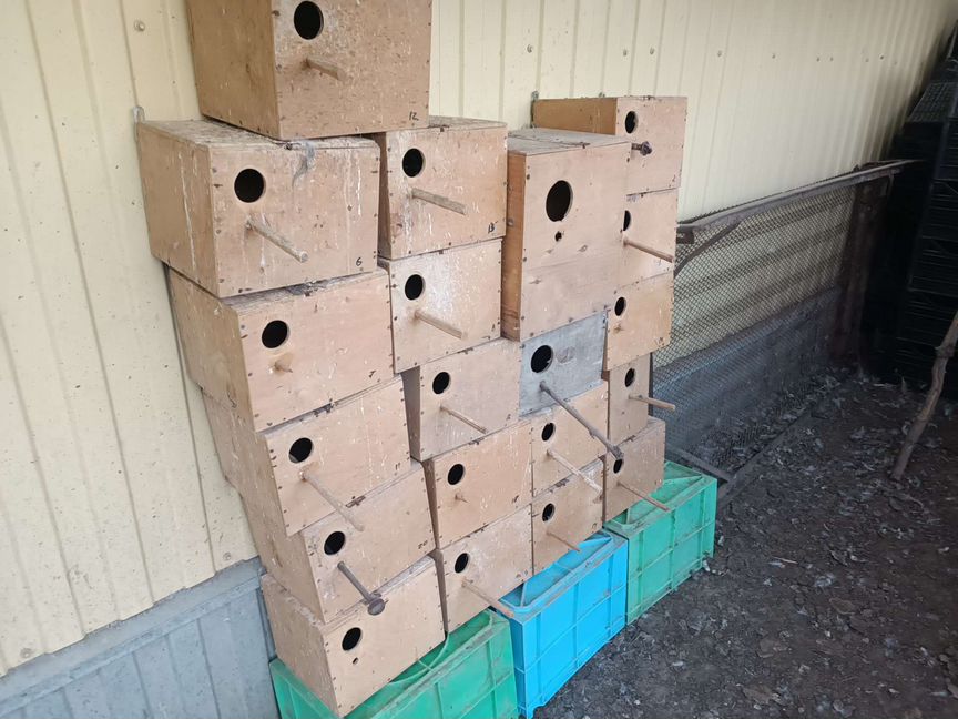 Домик для попугаев