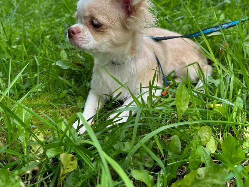 Нежный малыш