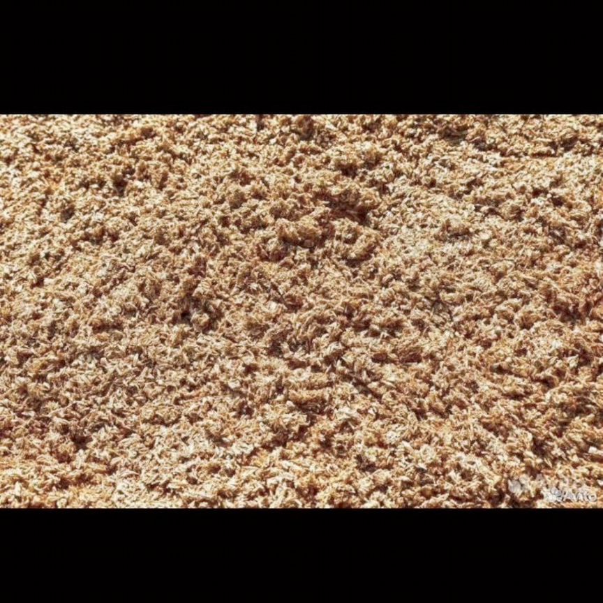 Пивная дробина