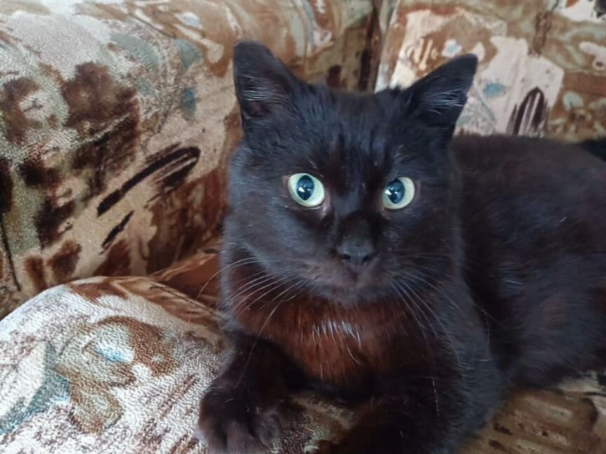 Чернее ночи