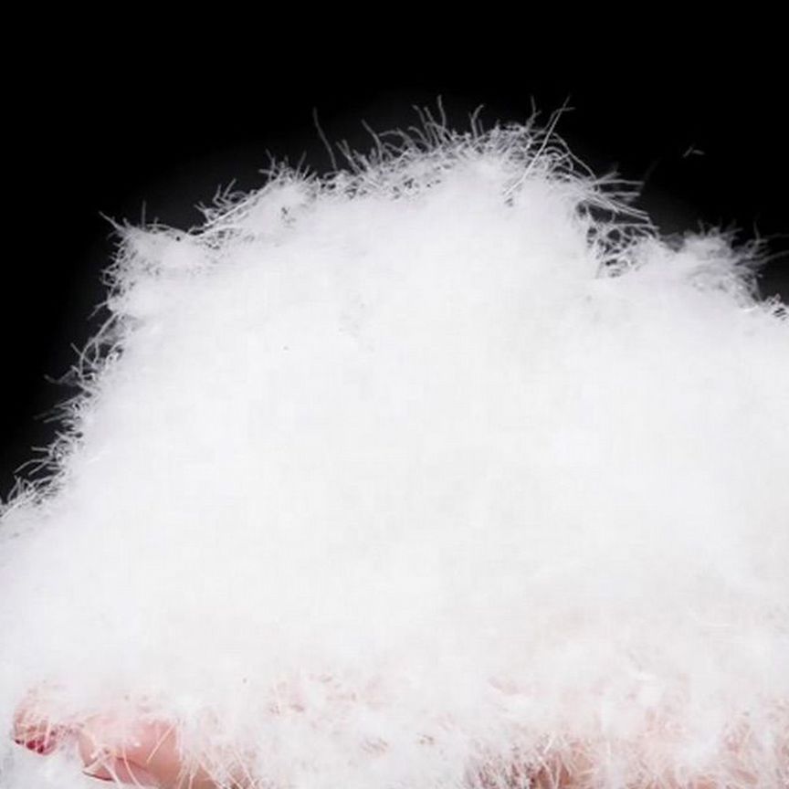 Пух перо гусиное