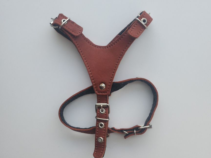 Шлейка для маленькой собаки