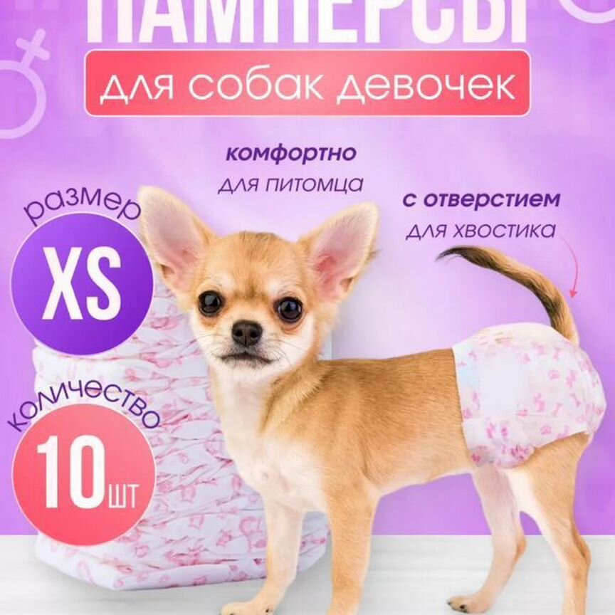 Памперсы для животных женского пола