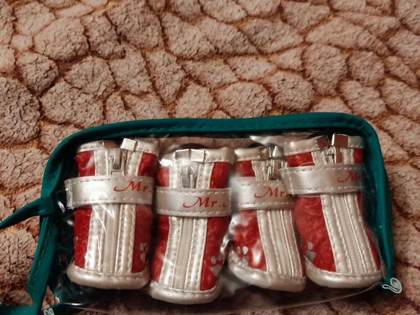 Ботиночки для мелких собак