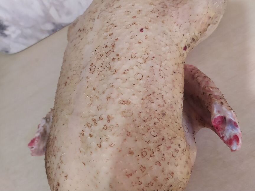 Тушка утки Мулард