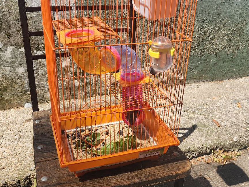 Клетка для грызунов