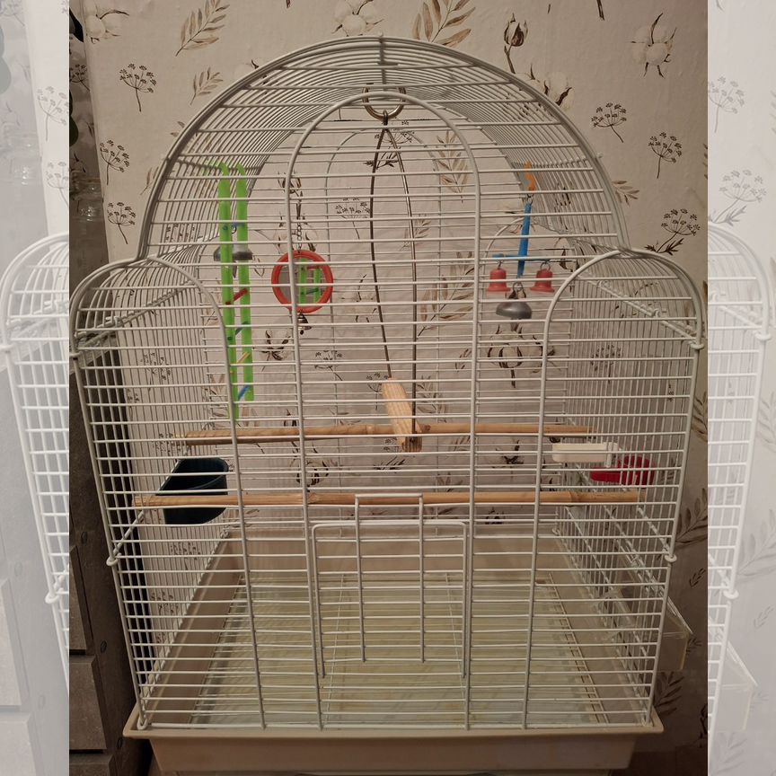 Клетка для попугая