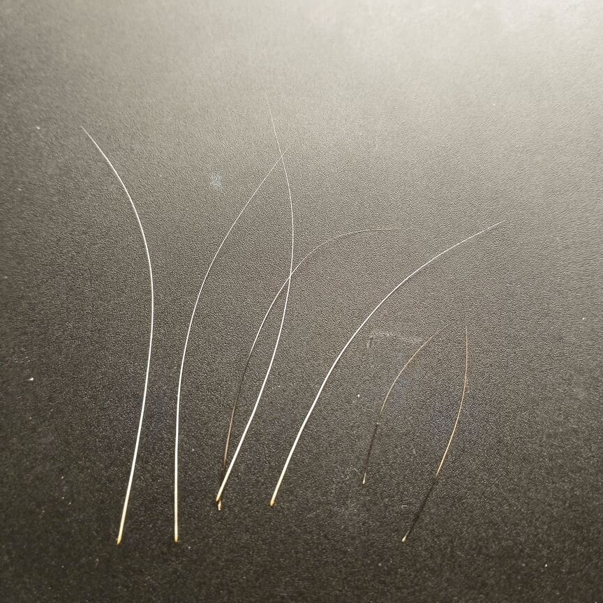 Усы вибрисы