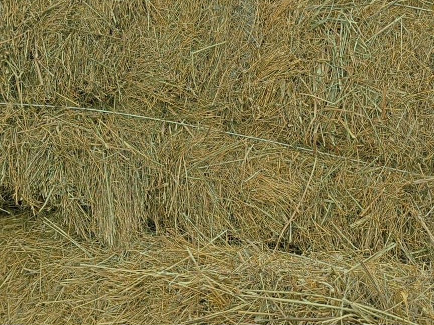 Сено в кипах