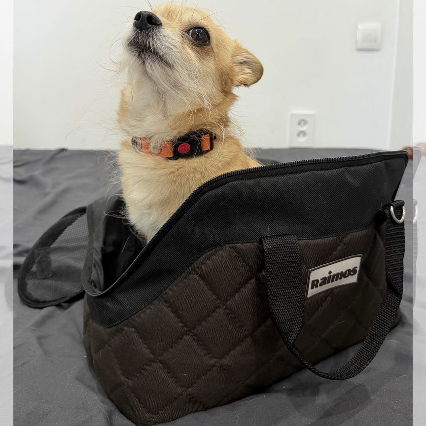 Переноска сумка бу