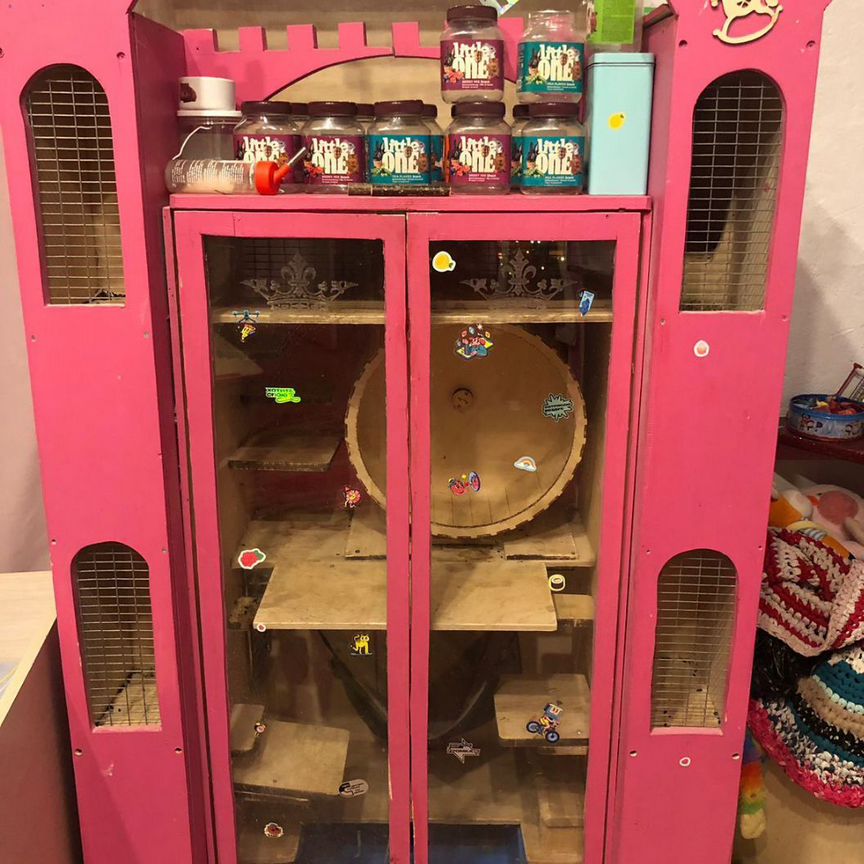 Шкаф витрина для грызунов