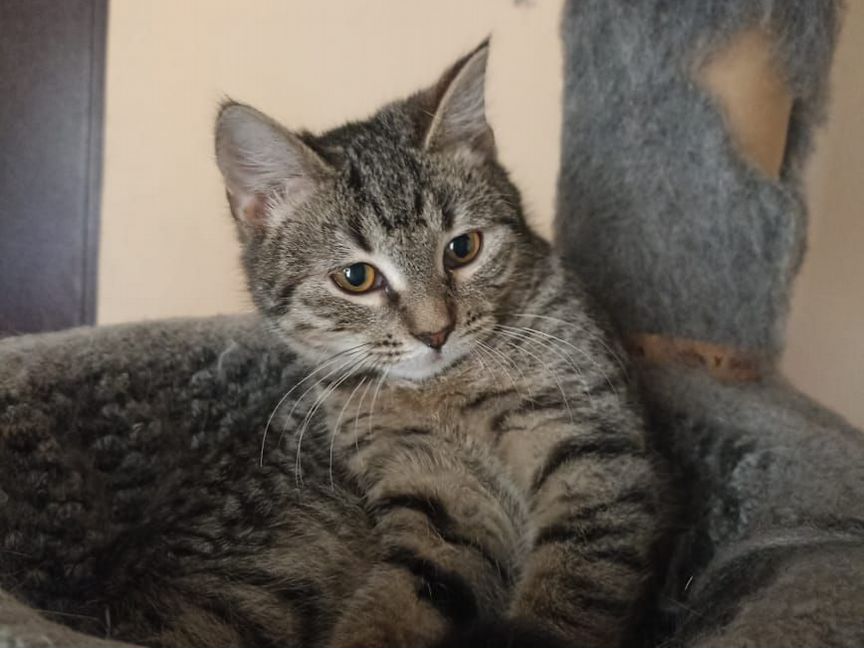 Мотя 5 мес