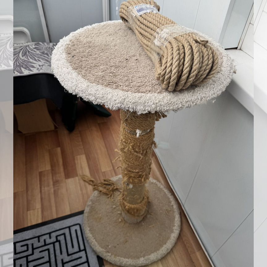 Когтеточка