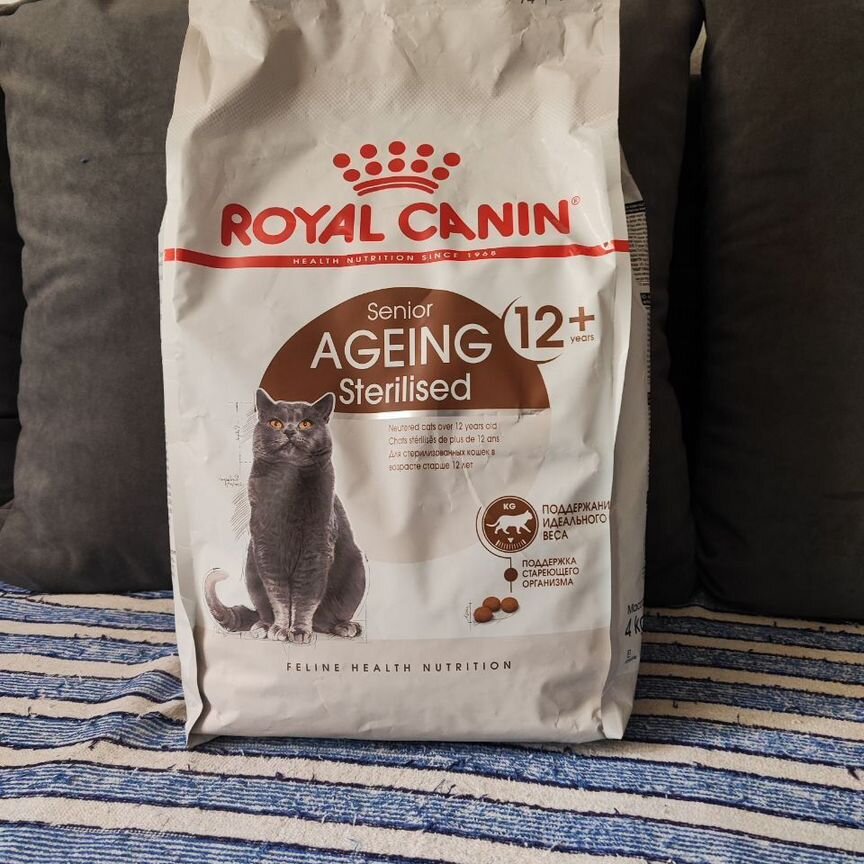 Корм для кота