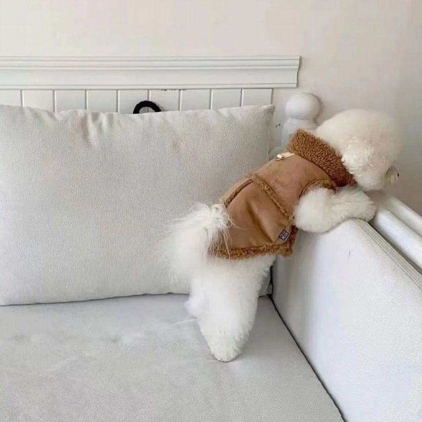 Одежда для маленьких собак