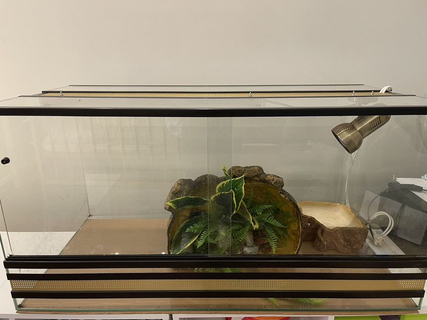 Террариум для рептилий бу