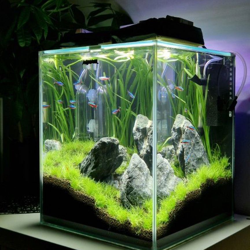 Аквариум новый гарантия