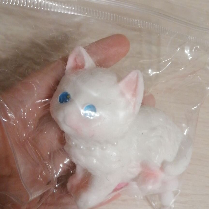 Таба котик