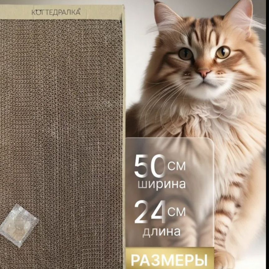 Когтеточка для кошек новая