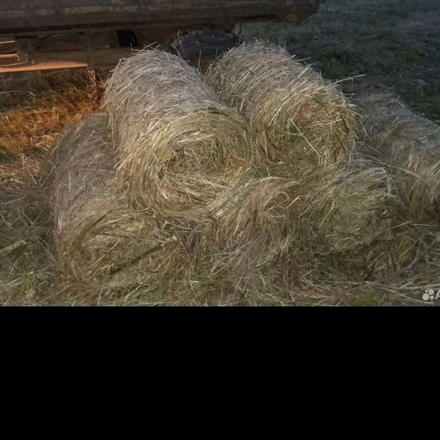 Продам сено 20 кг