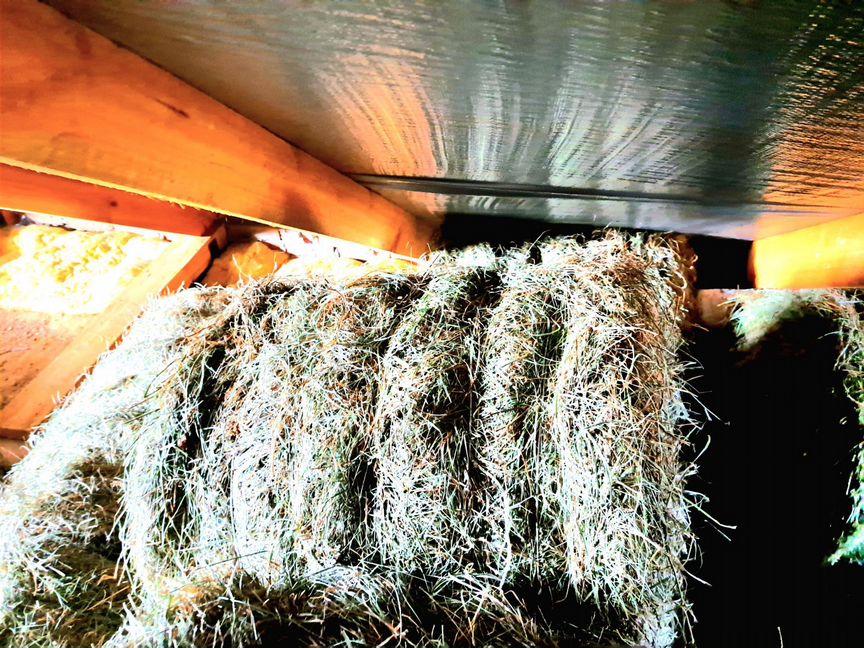 Сено луговое