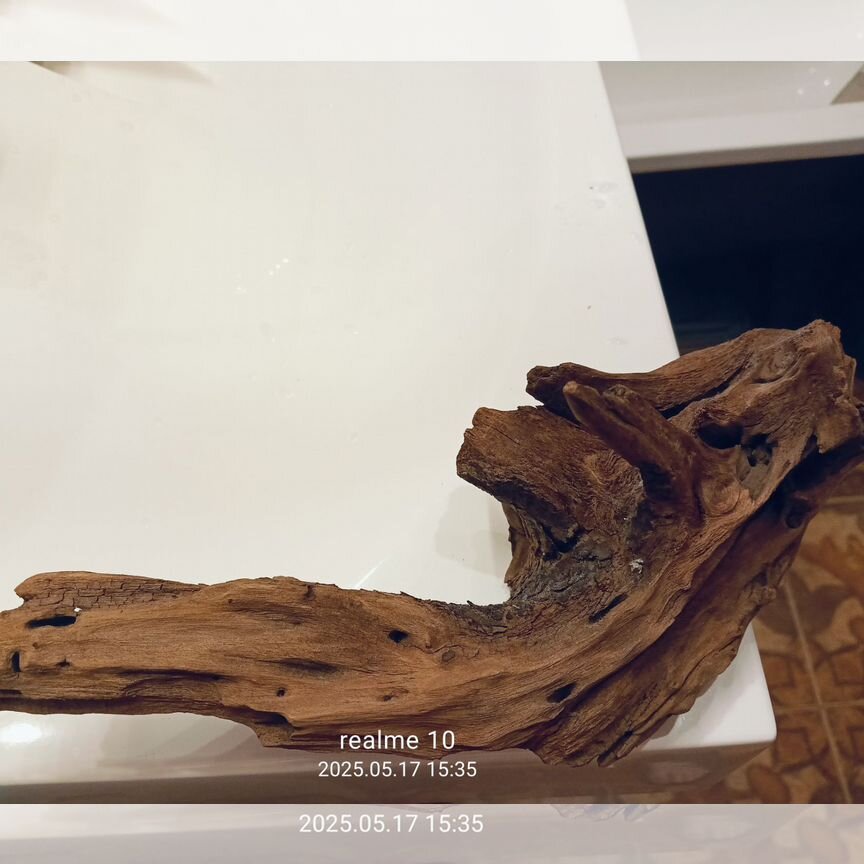 Коряга в аквариум мангровая
