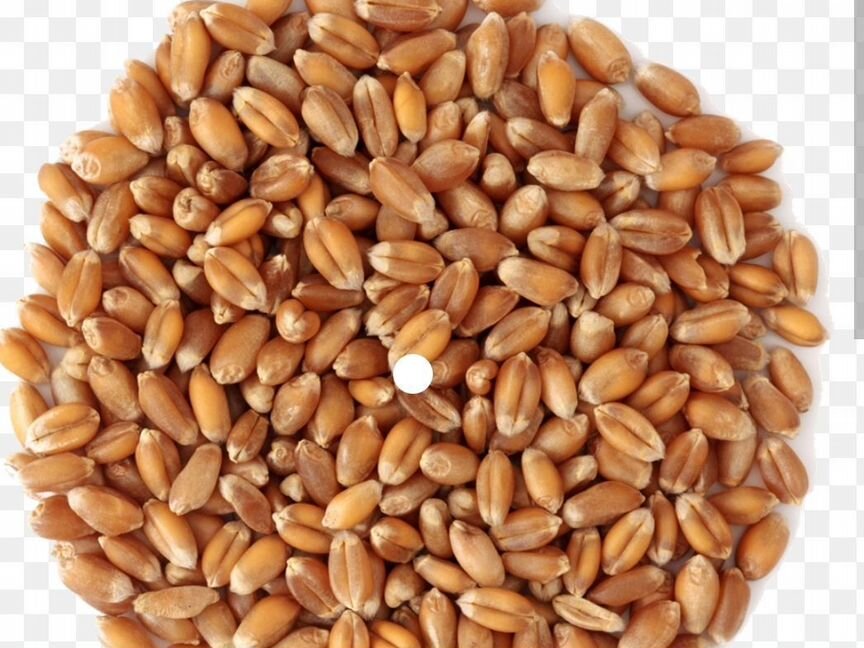 Пшеница мягкая 5кл