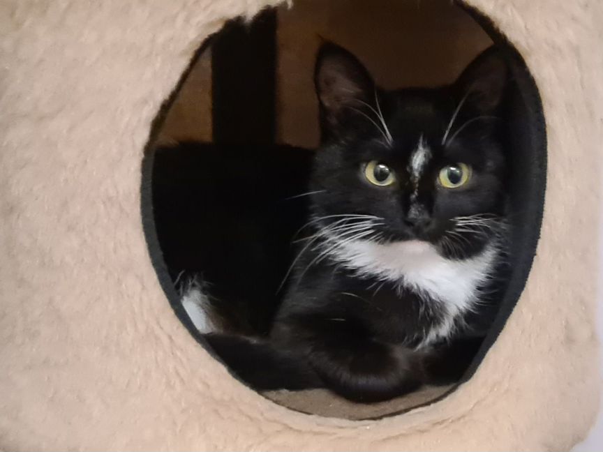 Милка - милая, добрая, нежная)