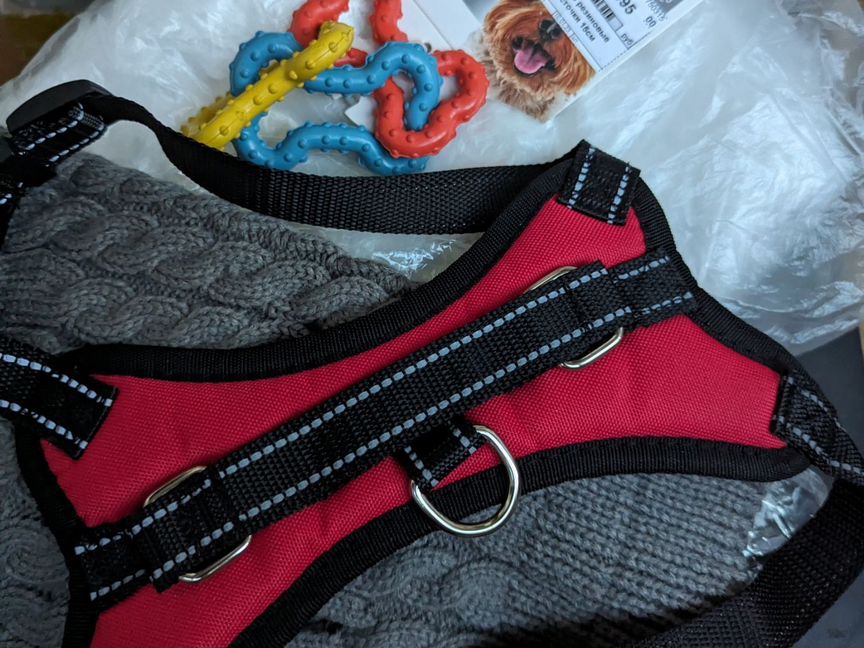 Набор для щенка