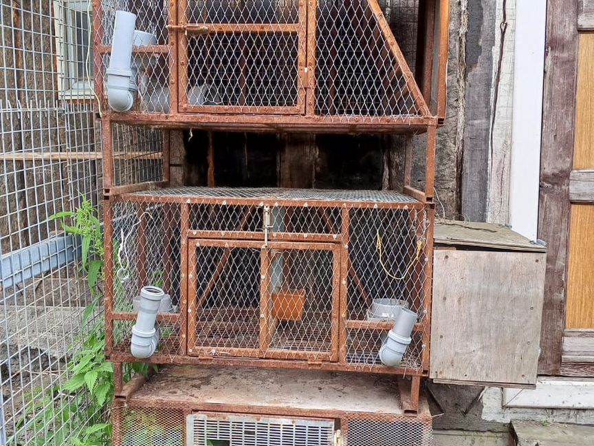 Клетка для кролика