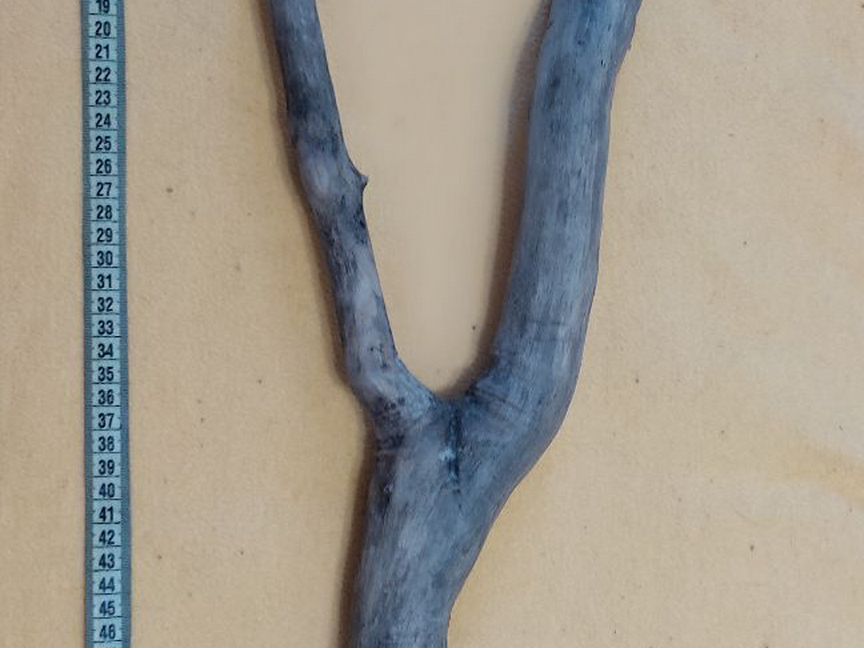 Дрифтвуд коряга для террариума, интерьера