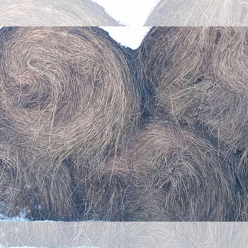 Продам сено в рулонах