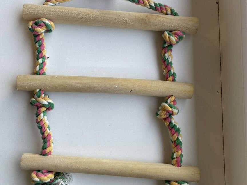 Лестница в клетку