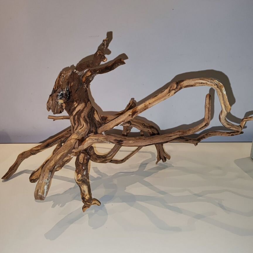Коряги для террариума